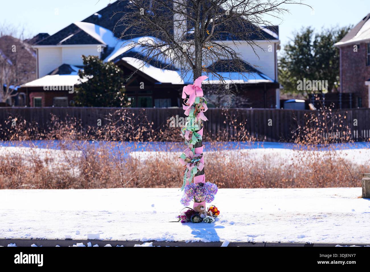 A makeshift memorial is shown at the site Monday, Jan. 26, 2026 in ...