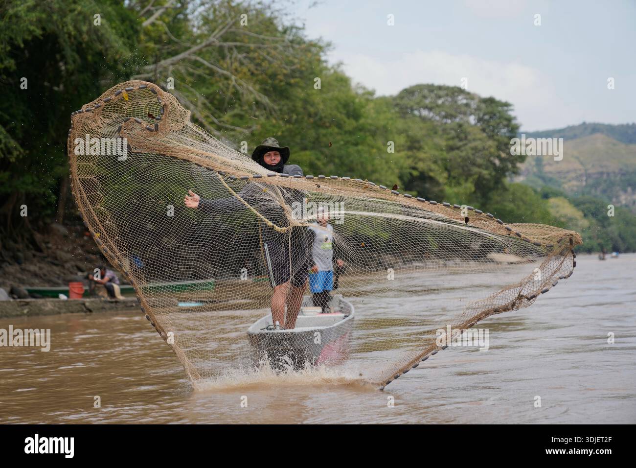 Victor Segurea casts a net during an annual phenomenon of fish swimming ...