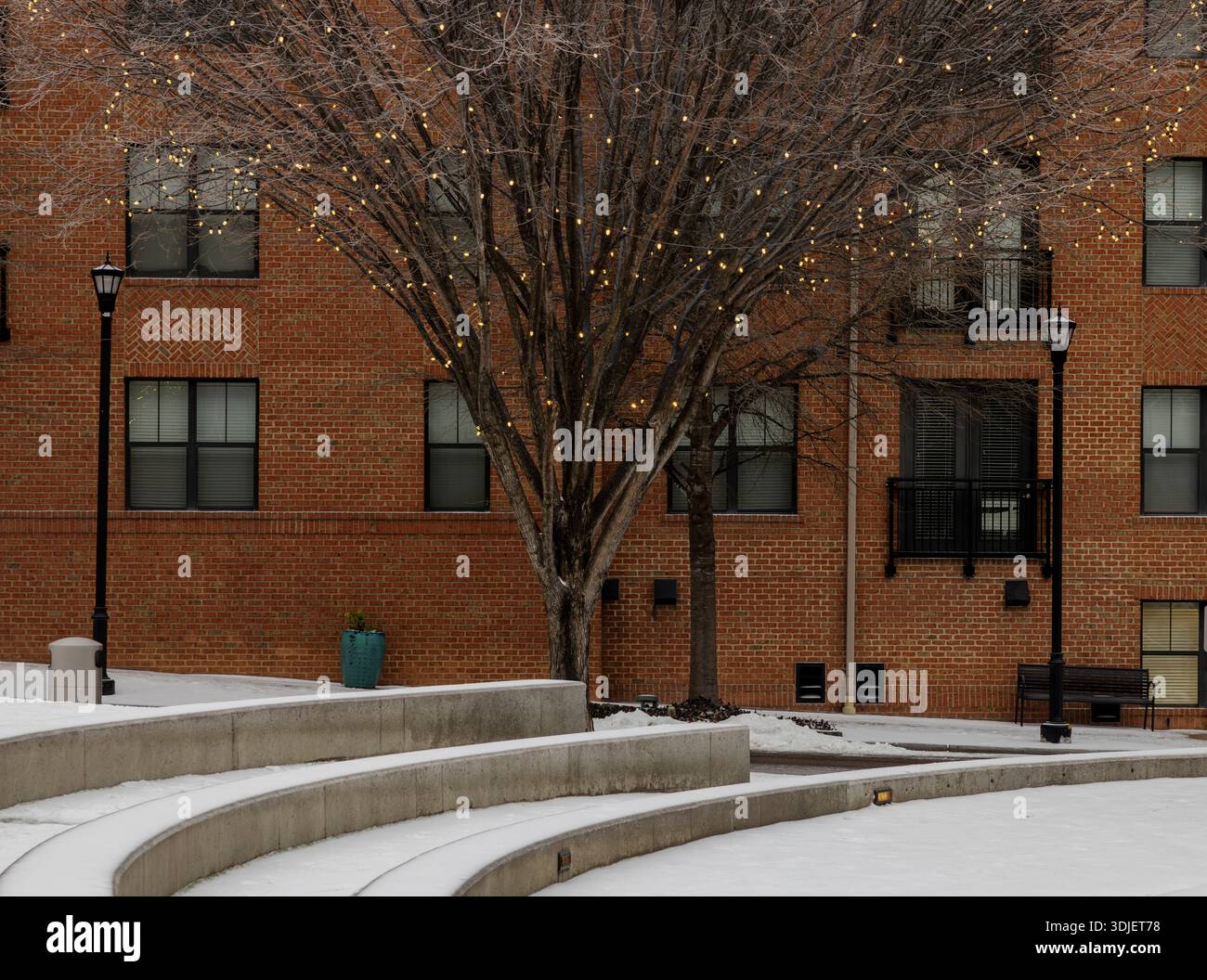 Snowy apartment building with a lit tree outside, in Raleigh, North ...