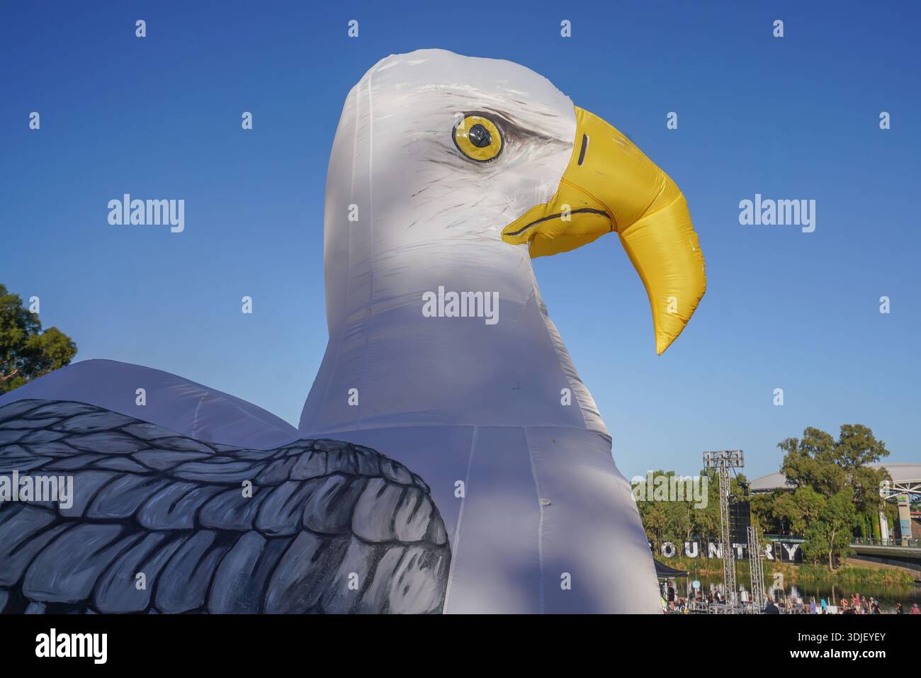 Adelaide Australia 26 January 2026. A large scale inflatable seagull ...