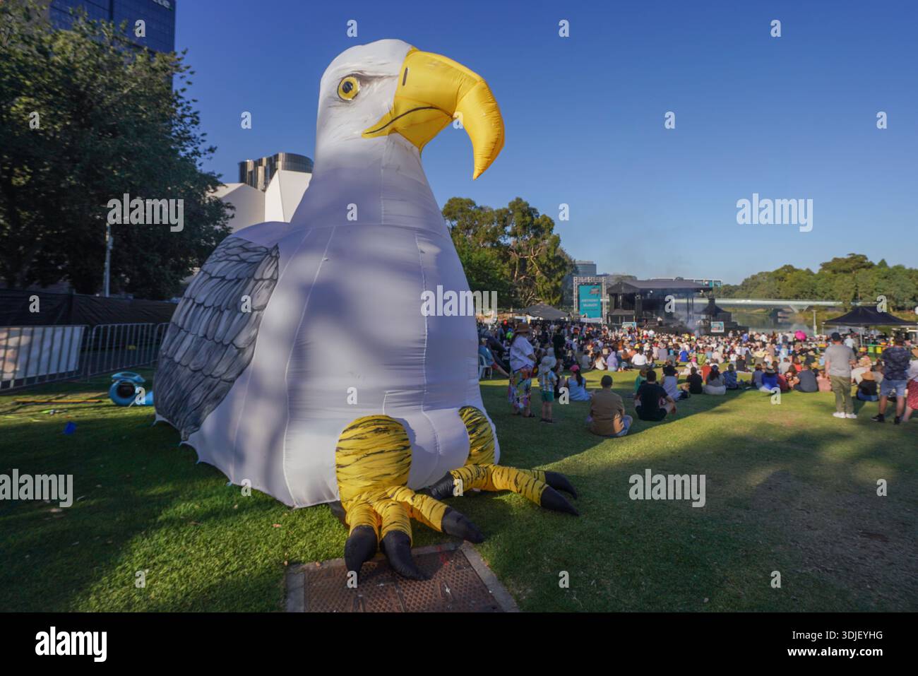 Adelaide Australia 26 January 2026. A large scale inflatable seagull ...