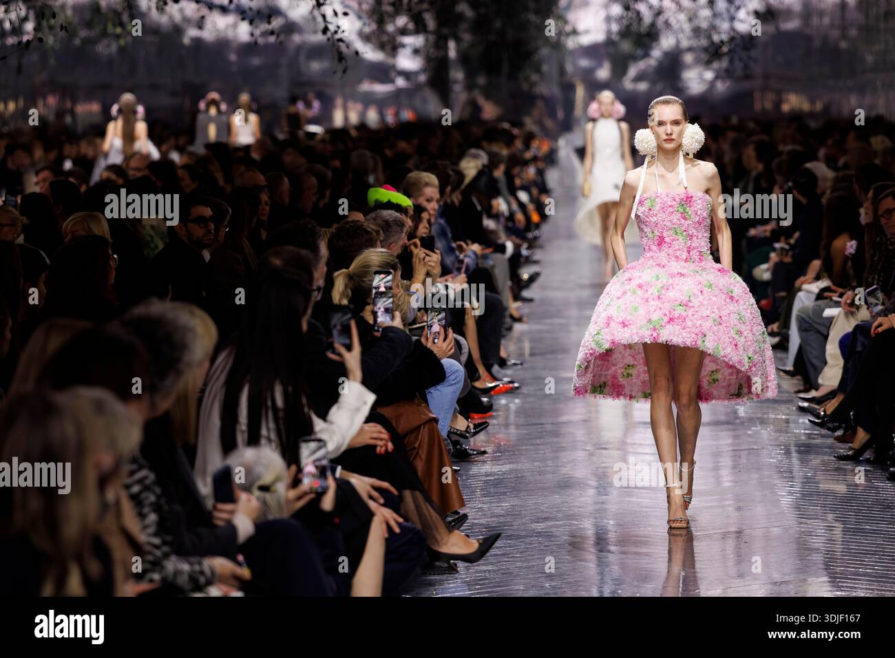 CHRISTIAN DIOR Haute Couture Spring/Summer 2026 Runway during Paris ...