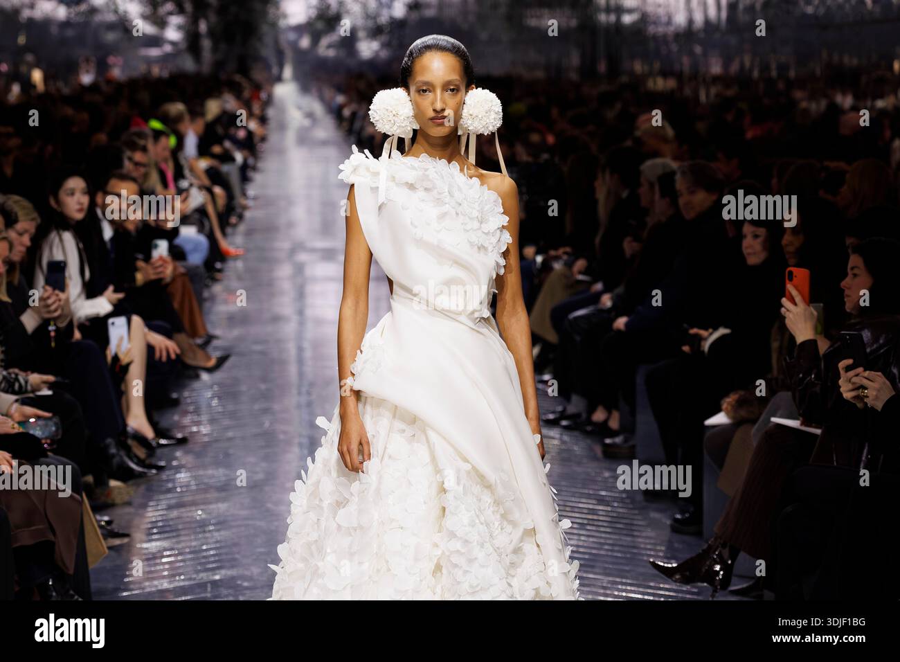 CHRISTIAN DIOR Haute Couture Spring/Summer 2026 Runway during Paris ...