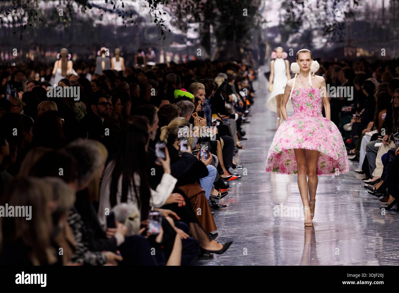 CHRISTIAN DIOR Haute Couture Spring/Summer 2026 Runway during Paris ...