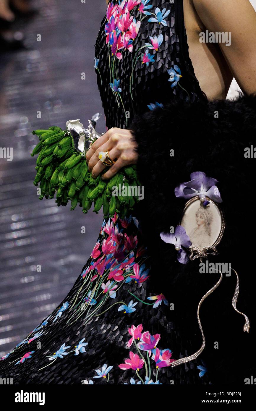 CHRISTIAN DIOR Haute Couture Spring/Summer 2026 Runway during Paris ...