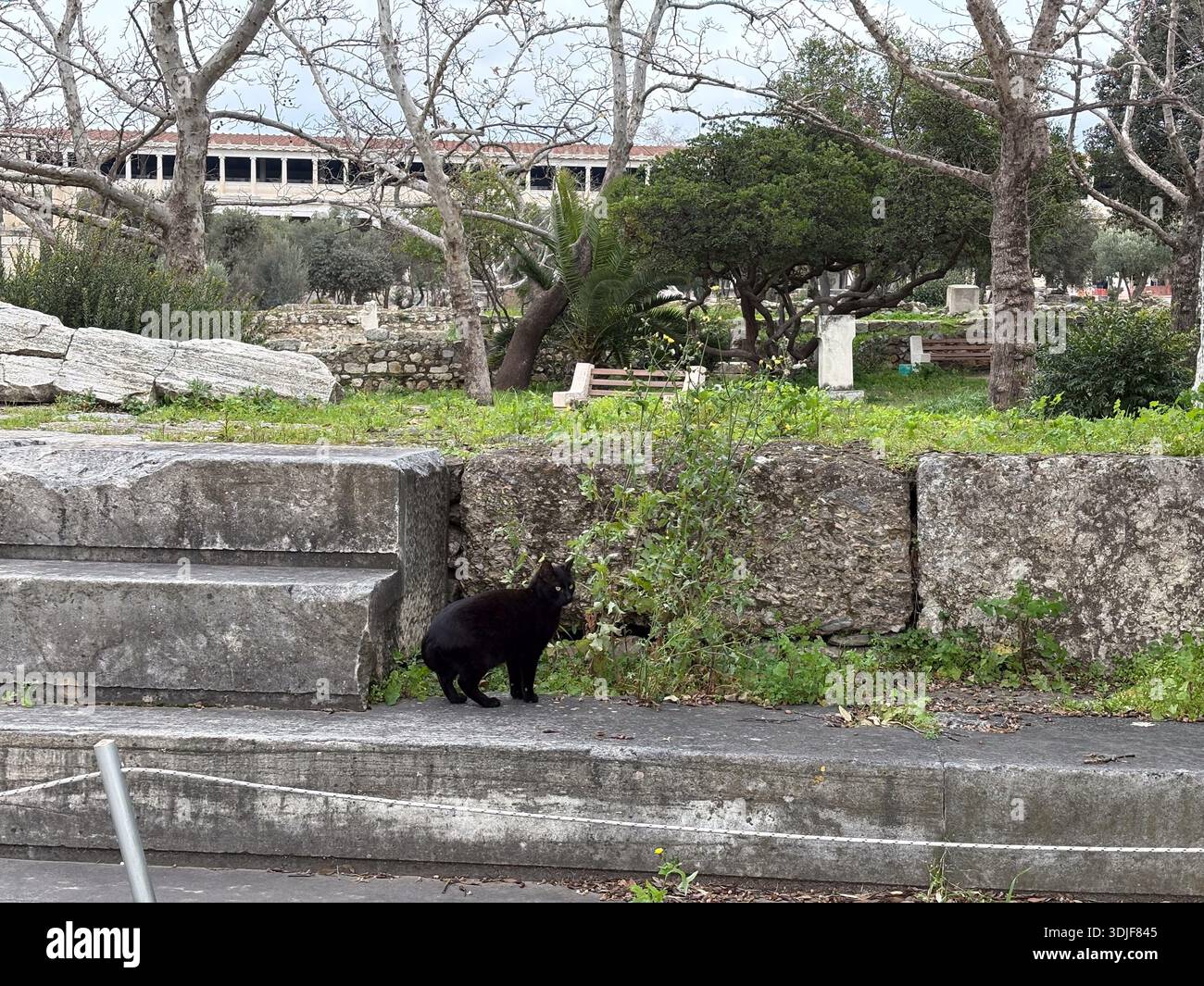 Ancient Agora of Athens (Paliá Agorá). Historic centre of ancient ...