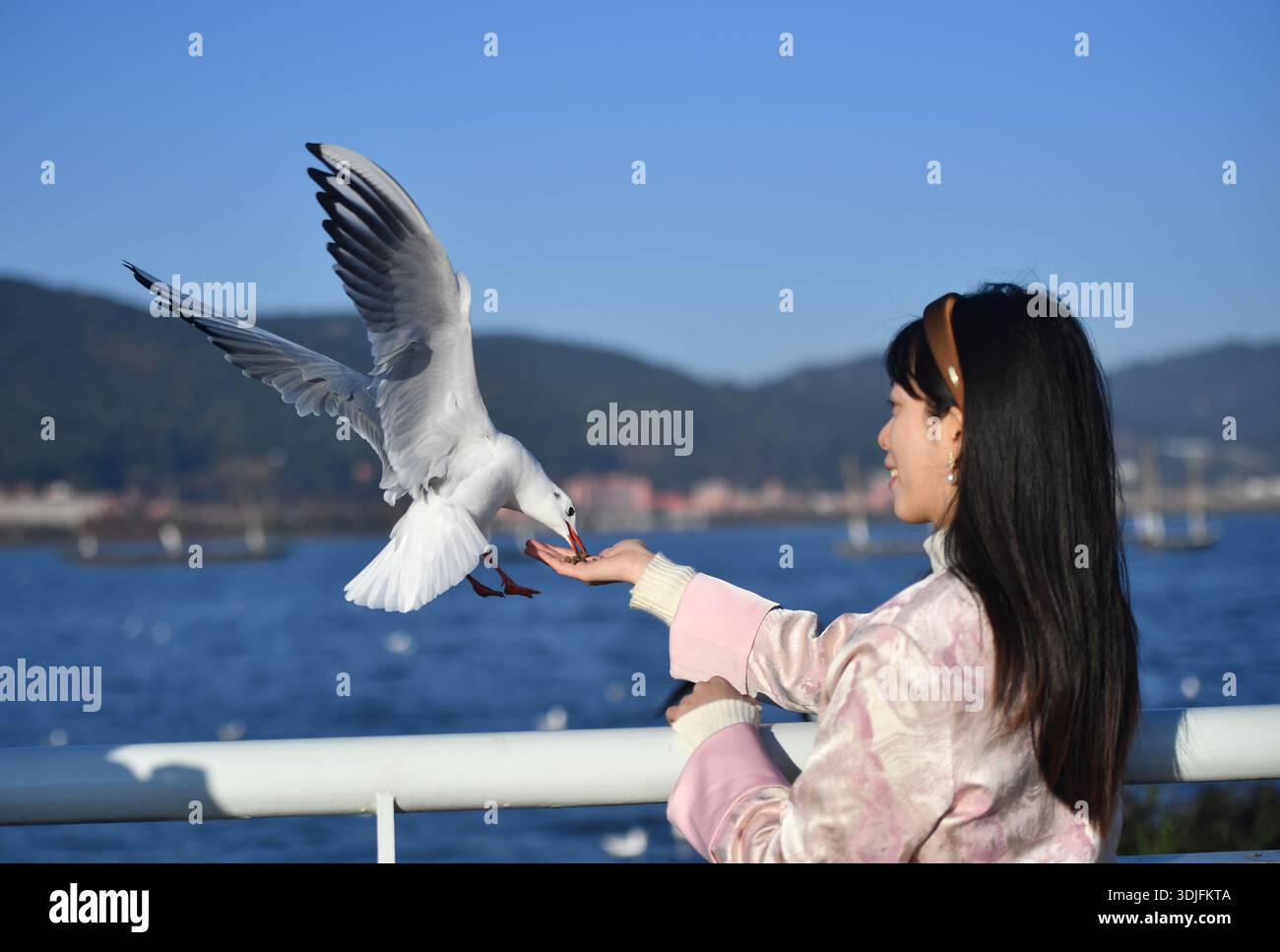 Seawalls dam hi-res stock photography and images - Alamy