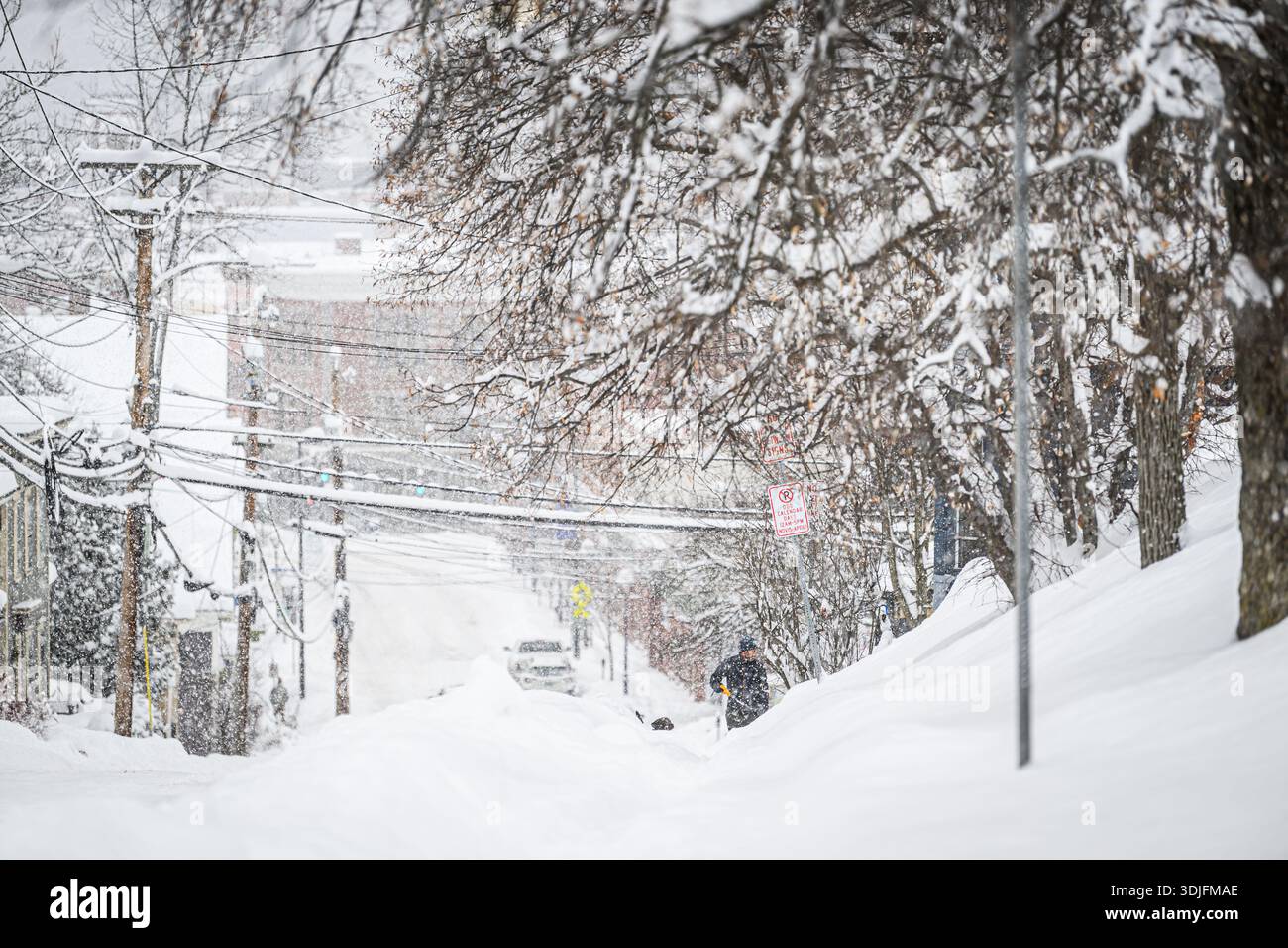 Montpelier, VT, USA 26 January, 2026: A man shovels snow on East State ...