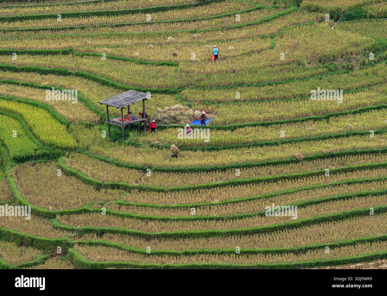 OLYMPUS DIGITAL CAMERA Stock Photo - Alamy