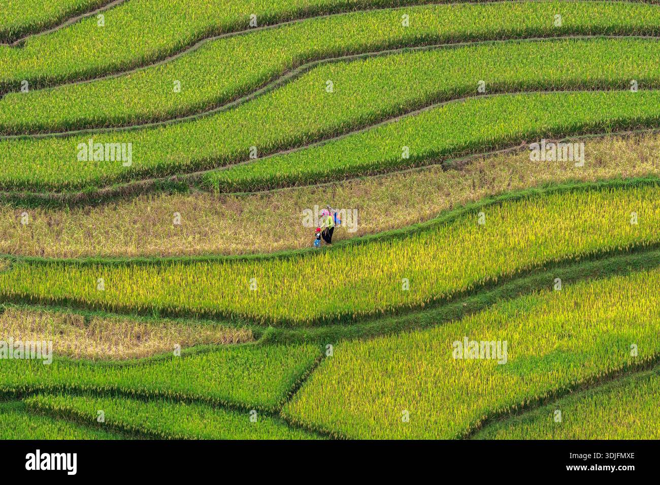 OLYMPUS DIGITAL CAMERA Stock Photo - Alamy