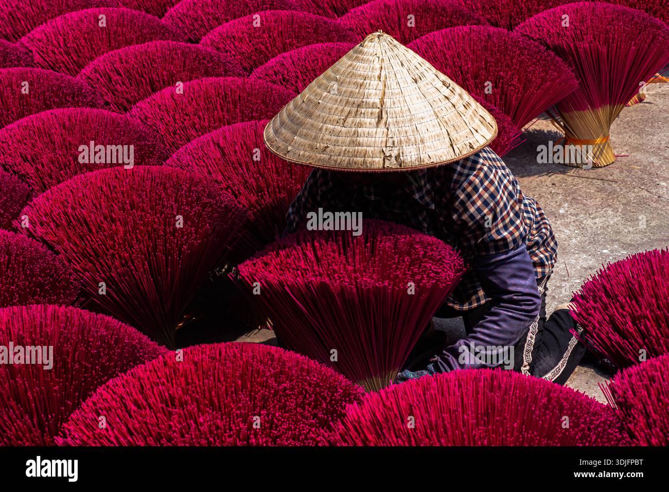 OLYMPUS DIGITAL CAMERA Stock Photo - Alamy