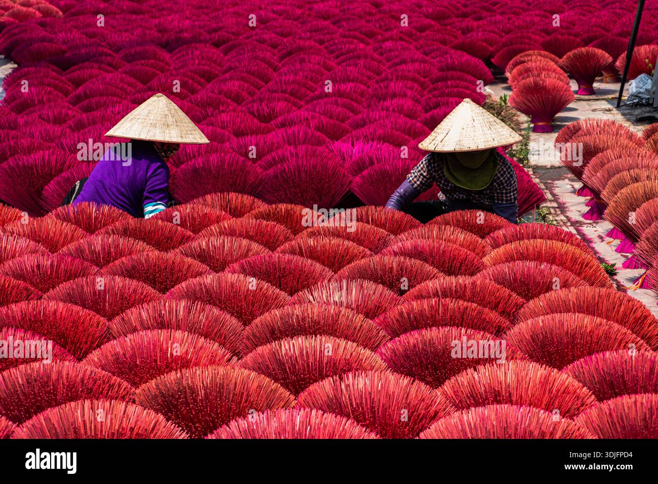 OLYMPUS DIGITAL CAMERA Stock Photo - Alamy