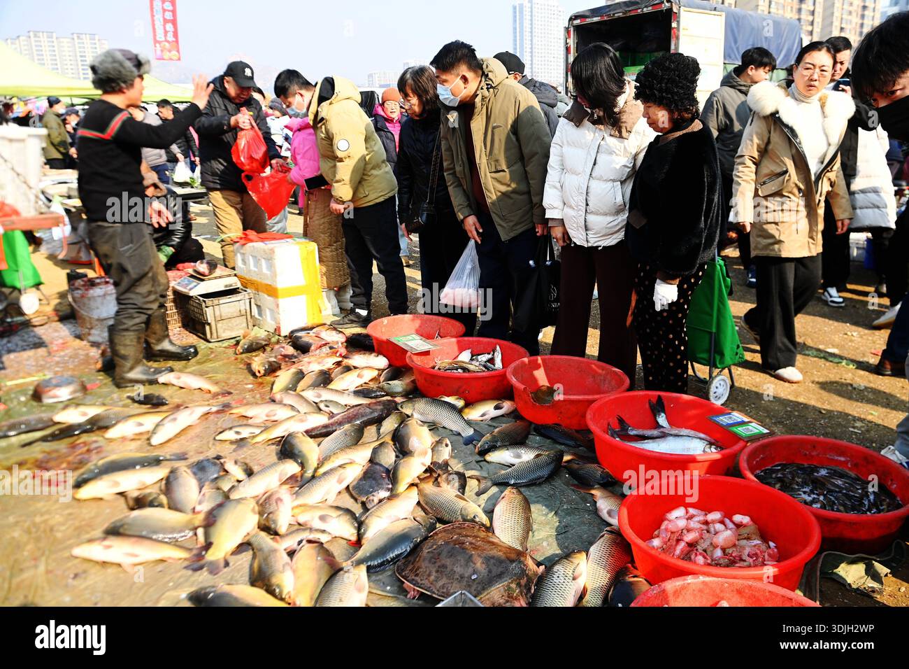 Shoppers crowd at Lingshanwei market for Lunar New Year goods in ...