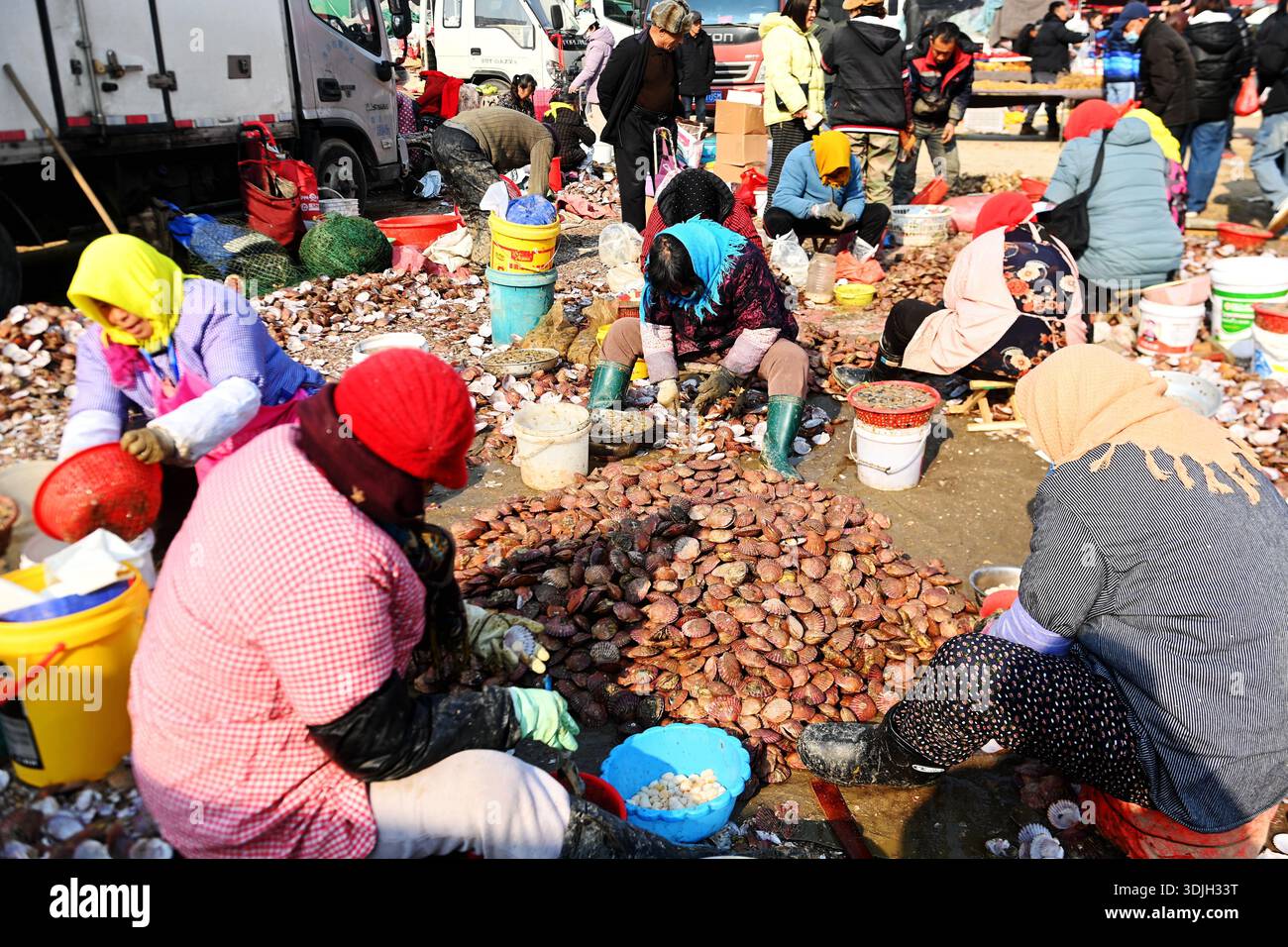 Shoppers crowd at Lingshanwei market for Lunar New Year goods in ...