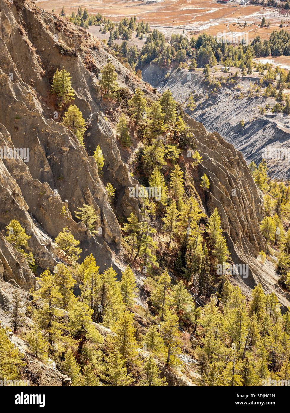 Illustrating terrain hi-res stock photography and images - Alamy