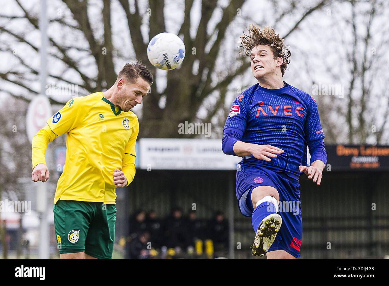 NEDERWEERT, 27-01-2026, Sportpark op de Hooven, season 2025/2026, Dutch ...
