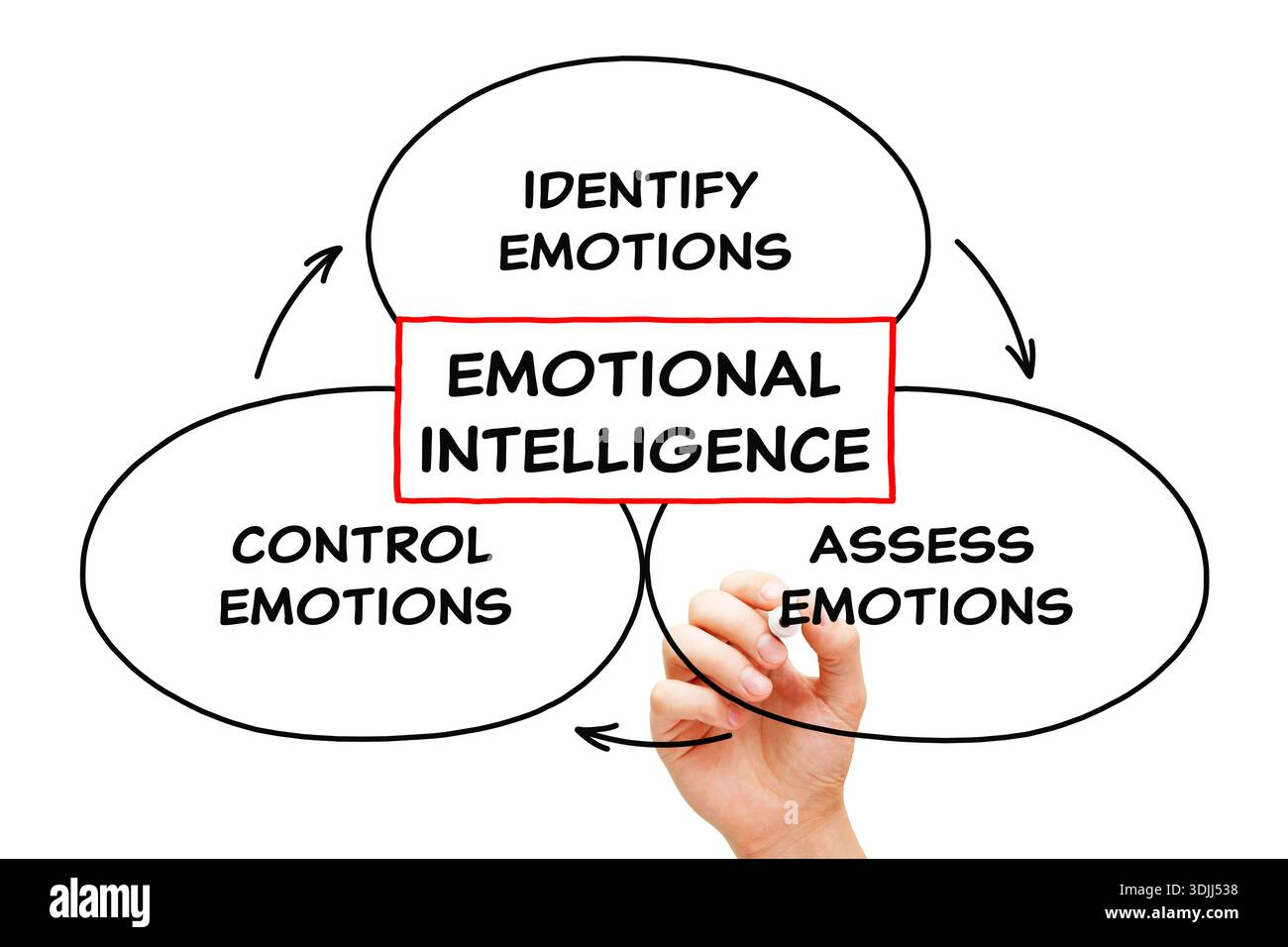 Hand drawing Emotional Intelligence developing diagram concept with ...
