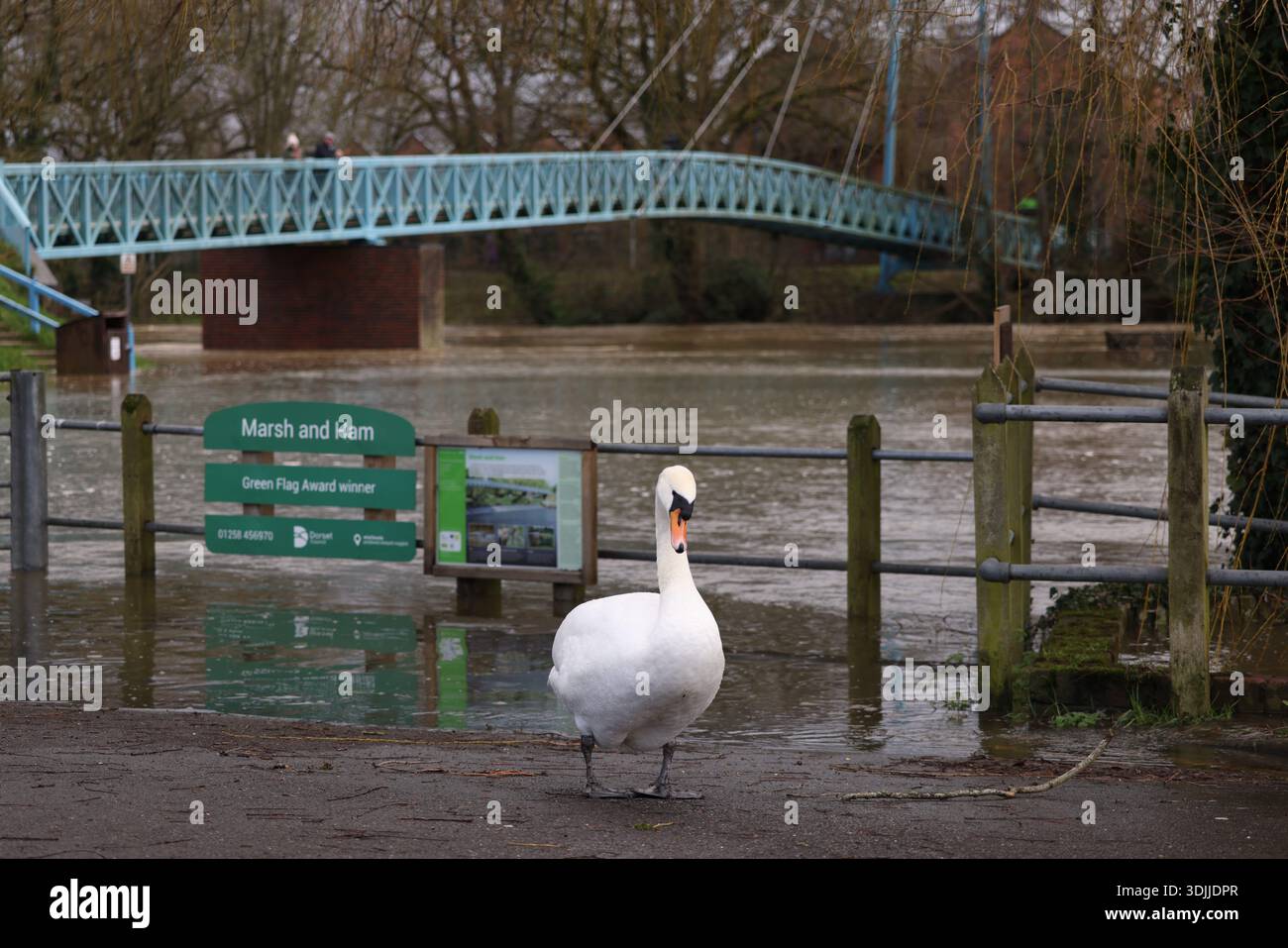 Blandford, Uk- 27th January 2026. Storm Chandra Batters the south coast ...