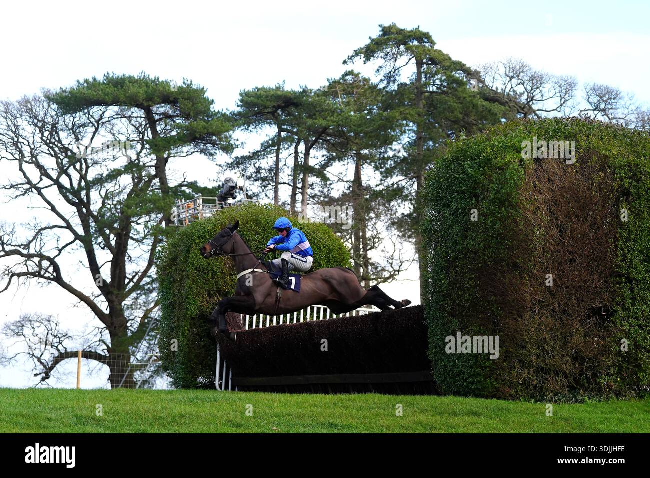 Juby Ball ridden by jockey James Bowen in the Kingsbridge Mortgage ...