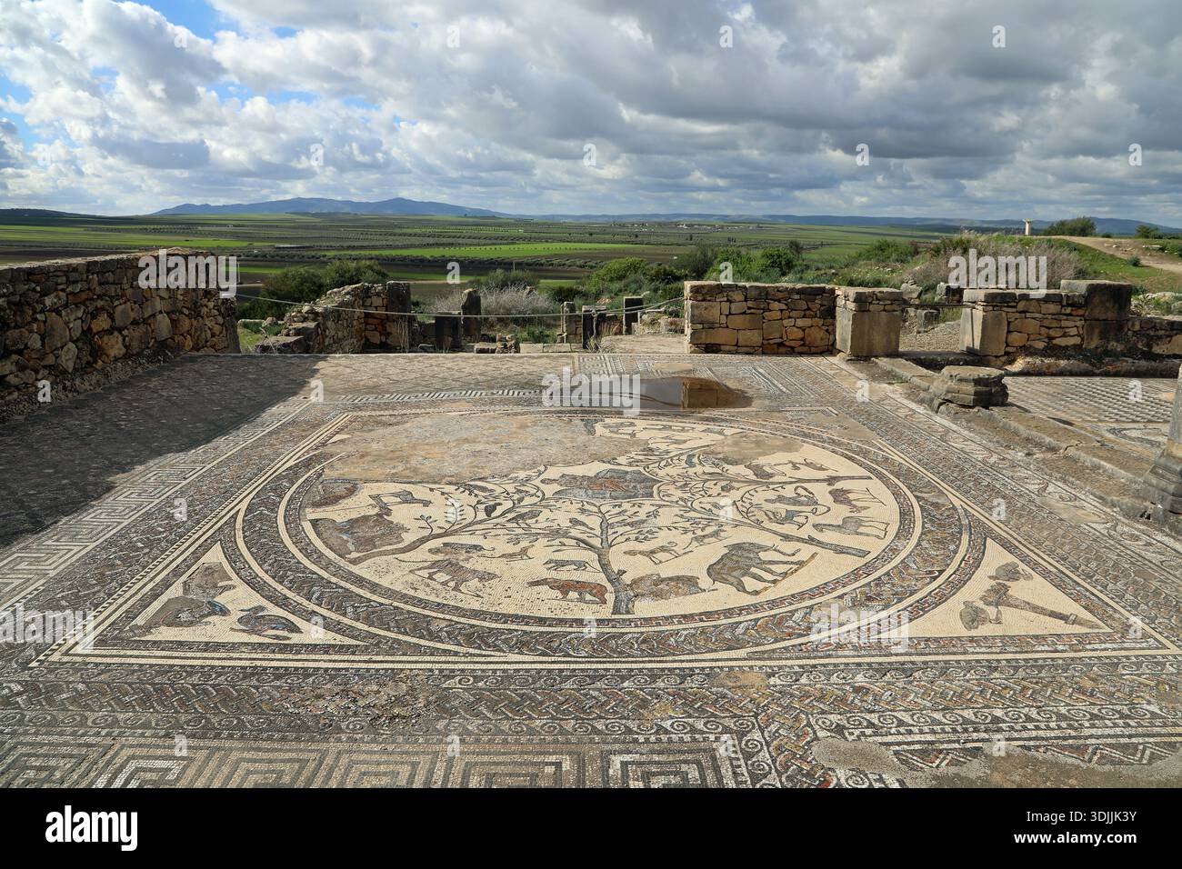 Orpheus was a legendary musician hi-res stock photography and images ...