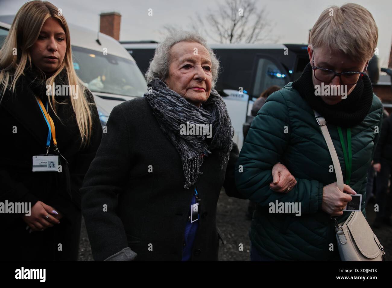 Holocaust survivor Bronislawa Horowitz-Karakulska attends a ceremony ...