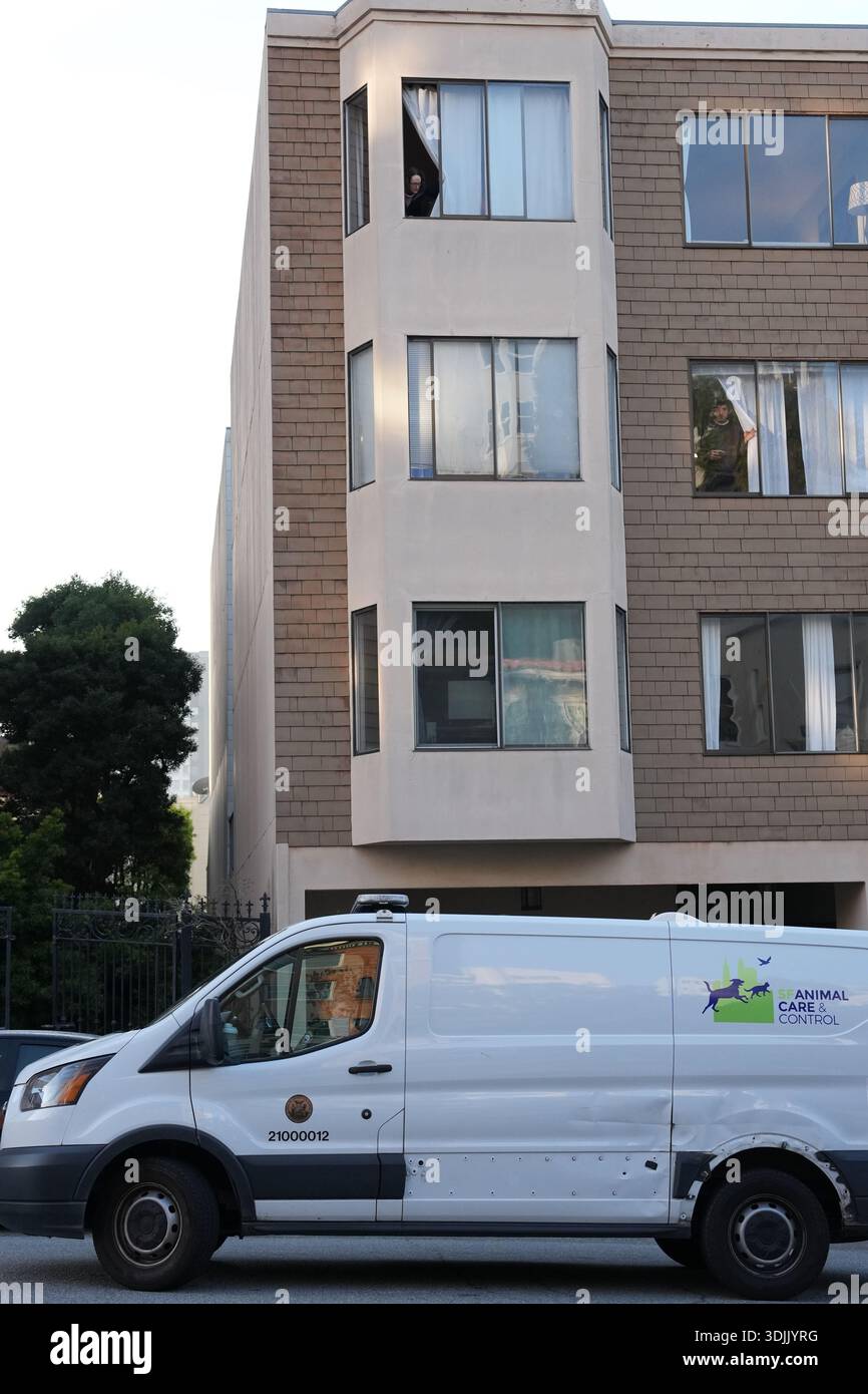 People look out from an apartment building near where a mountain lion ...