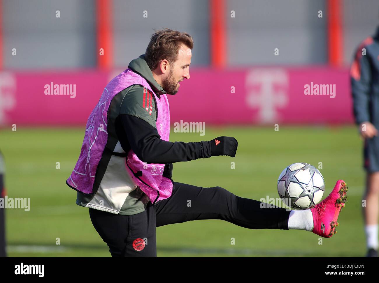 Football, Men, Champions League, Season 2025/2026, FC FC Bayern Munich ...