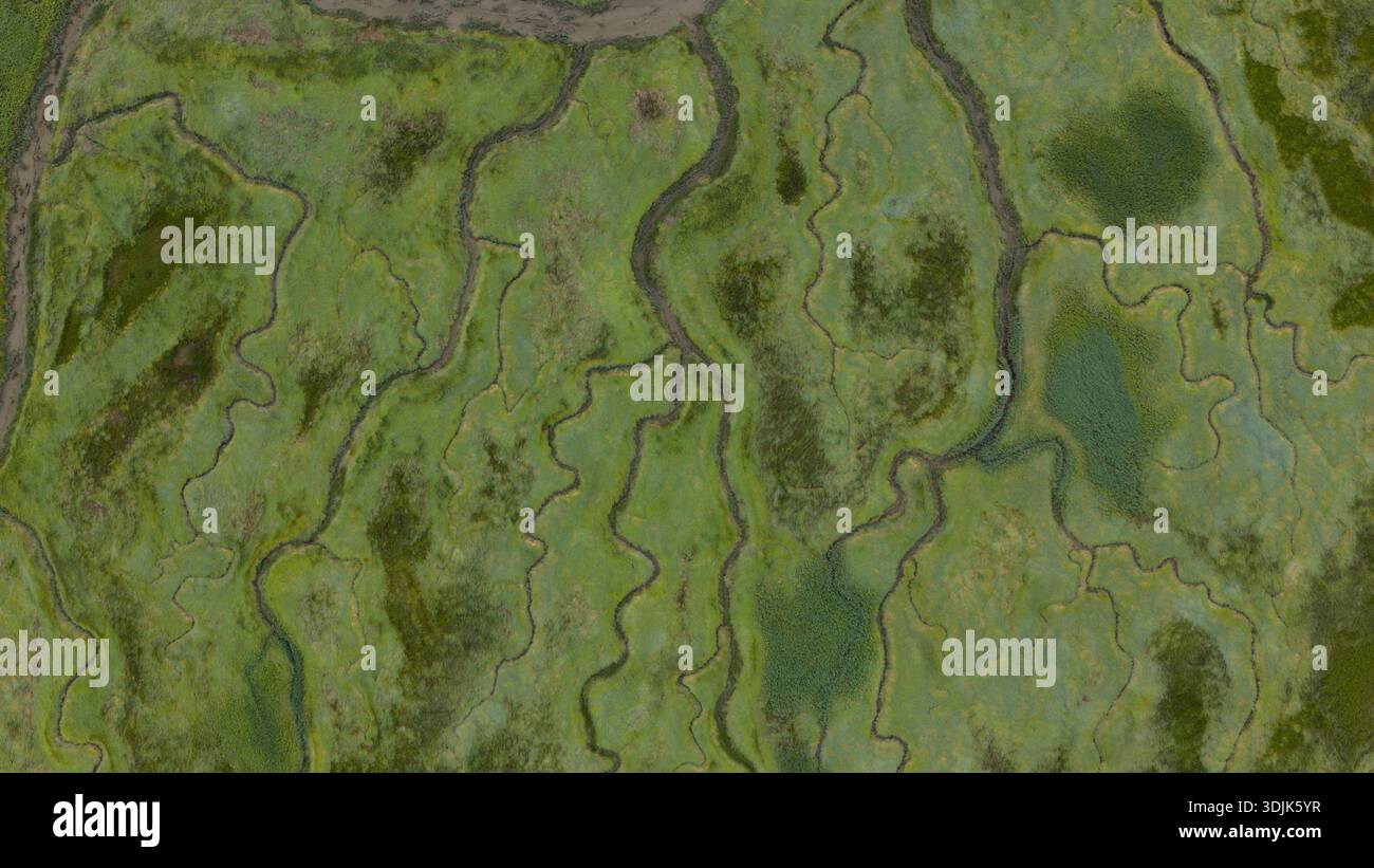 Aerial view winding rivers through green salt marsh wetlands Stock ...
