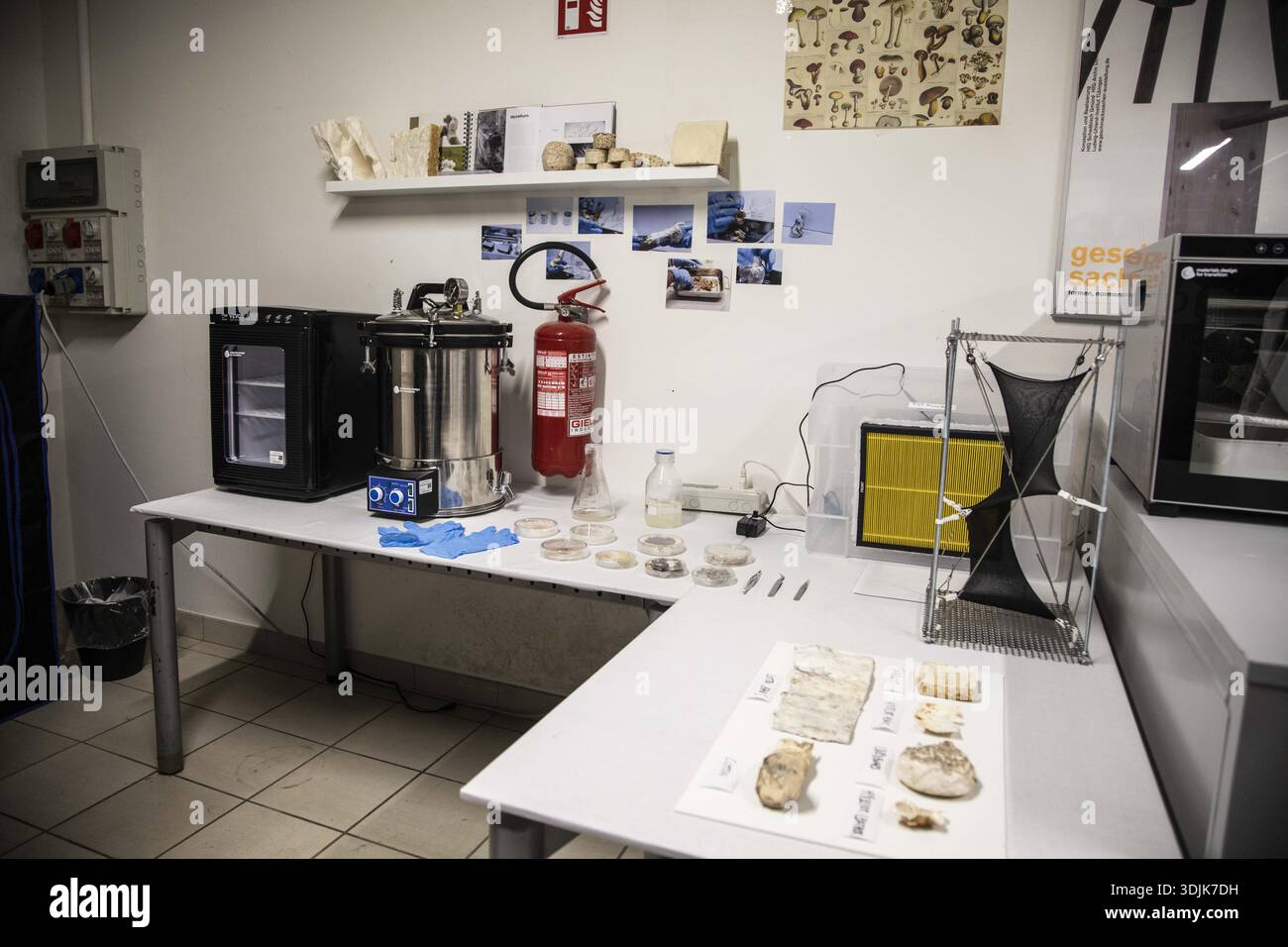 Milan, POLIMI Bovisa Campus, Inauguration of the B.Lab and Circular ...