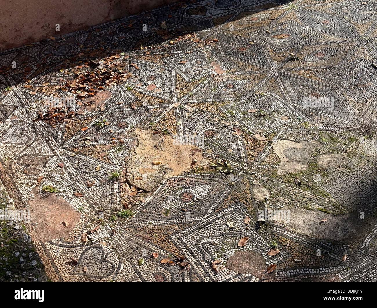 Roman mosaic floor, tesserae pavement. Detailed geometric pattern ...