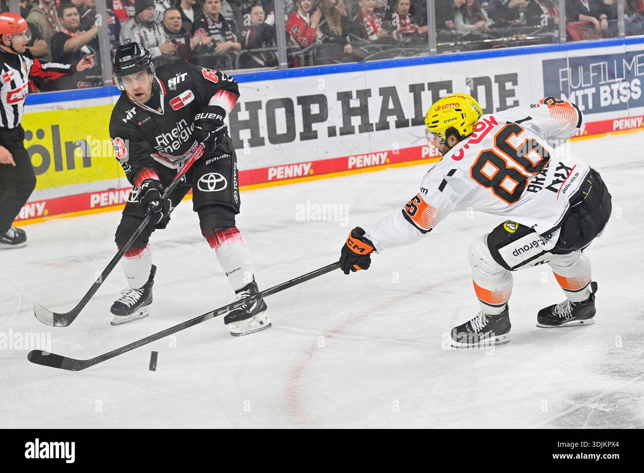 Ice Hockey DEL - 25/26 - Matchday 44: Cologne Sharks vs Lions Frankfurt ...