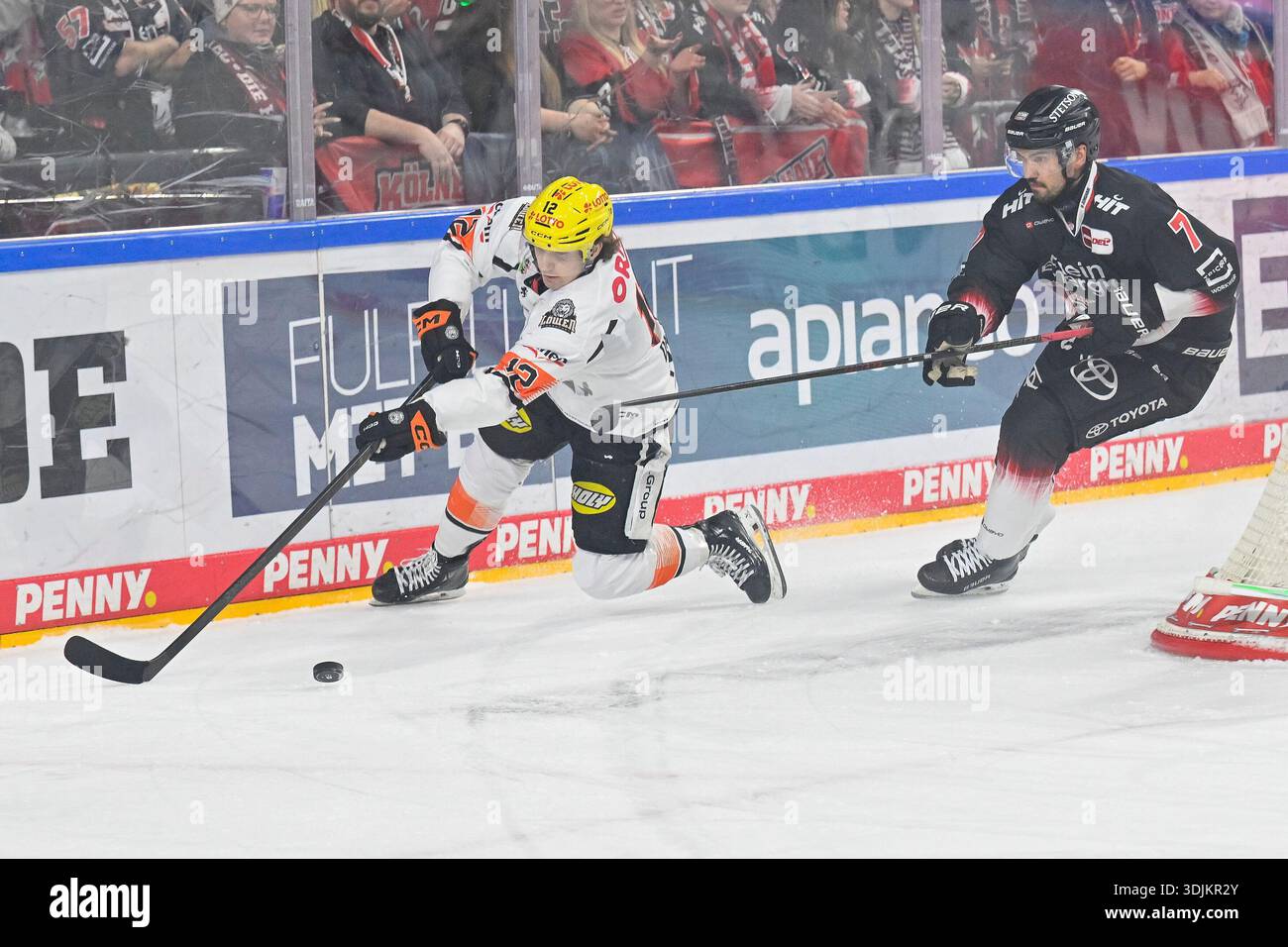 Eishockey DEL - 25/26 - 44. Spieltag: Kölner Haie vs Löwen Frankfurt am ...