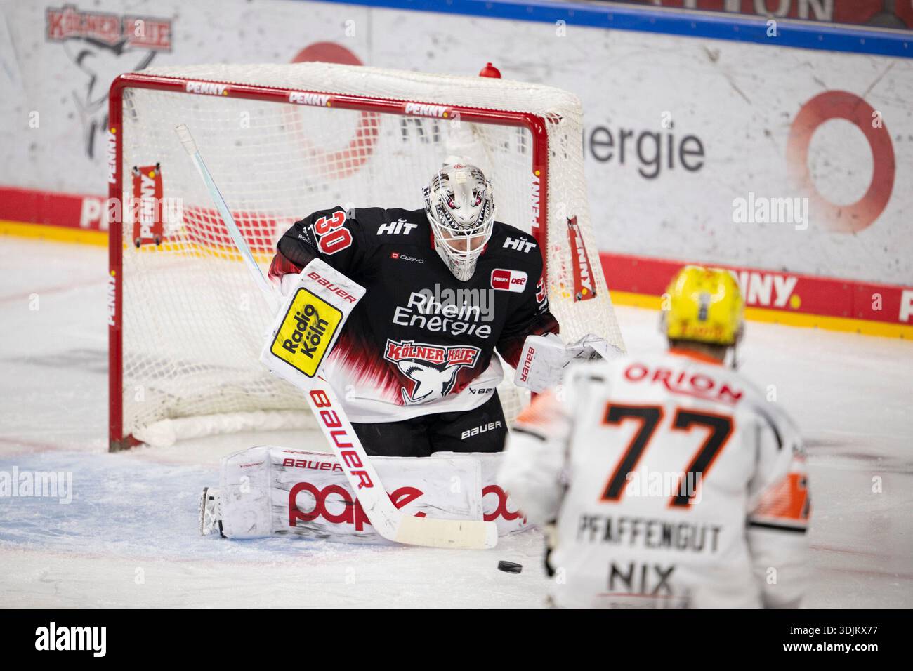 Janne Juvonen (Cologne Sharks, goalkeeper, #30); PENNY DEL 1; Cologne ...