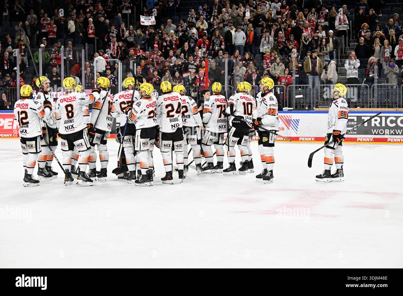 Cologne sharks vs frankfurt lions hi-res stock photography and images ...
