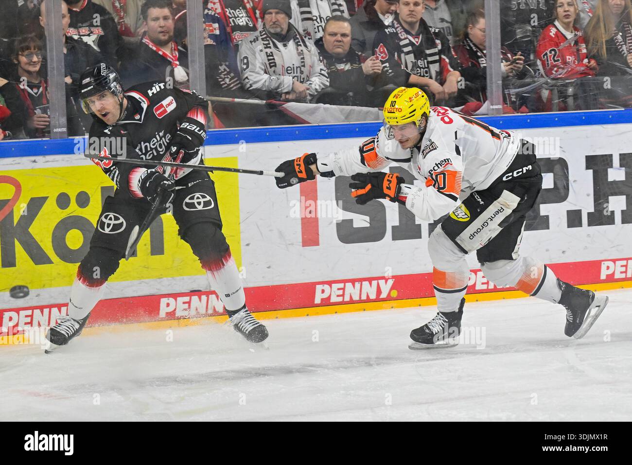 Ice Hockey DEL - 25/26 - Matchday 44: Cologne Sharks vs Lions Frankfurt ...