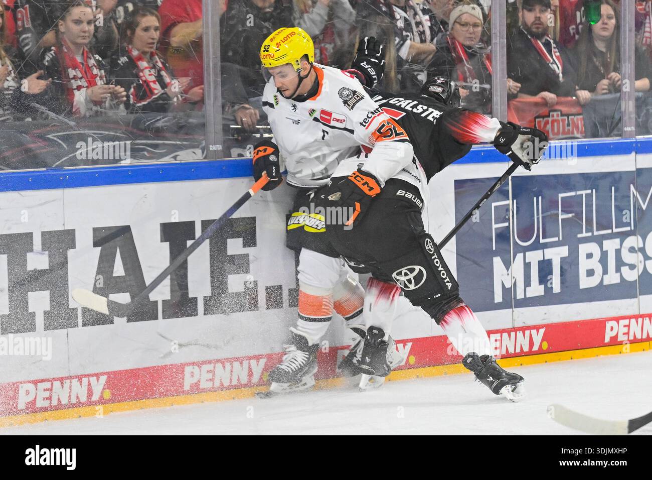 Eishockey DEL - 25/26 - 44. Spieltag: Kölner Haie vs Löwen Frankfurt am ...