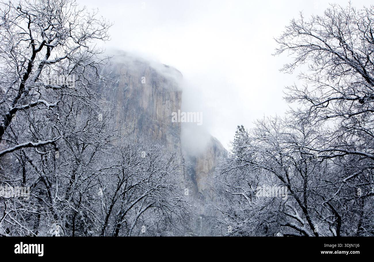 Mist enshrouding the west face of El Capitan after fresh snowfall in ...