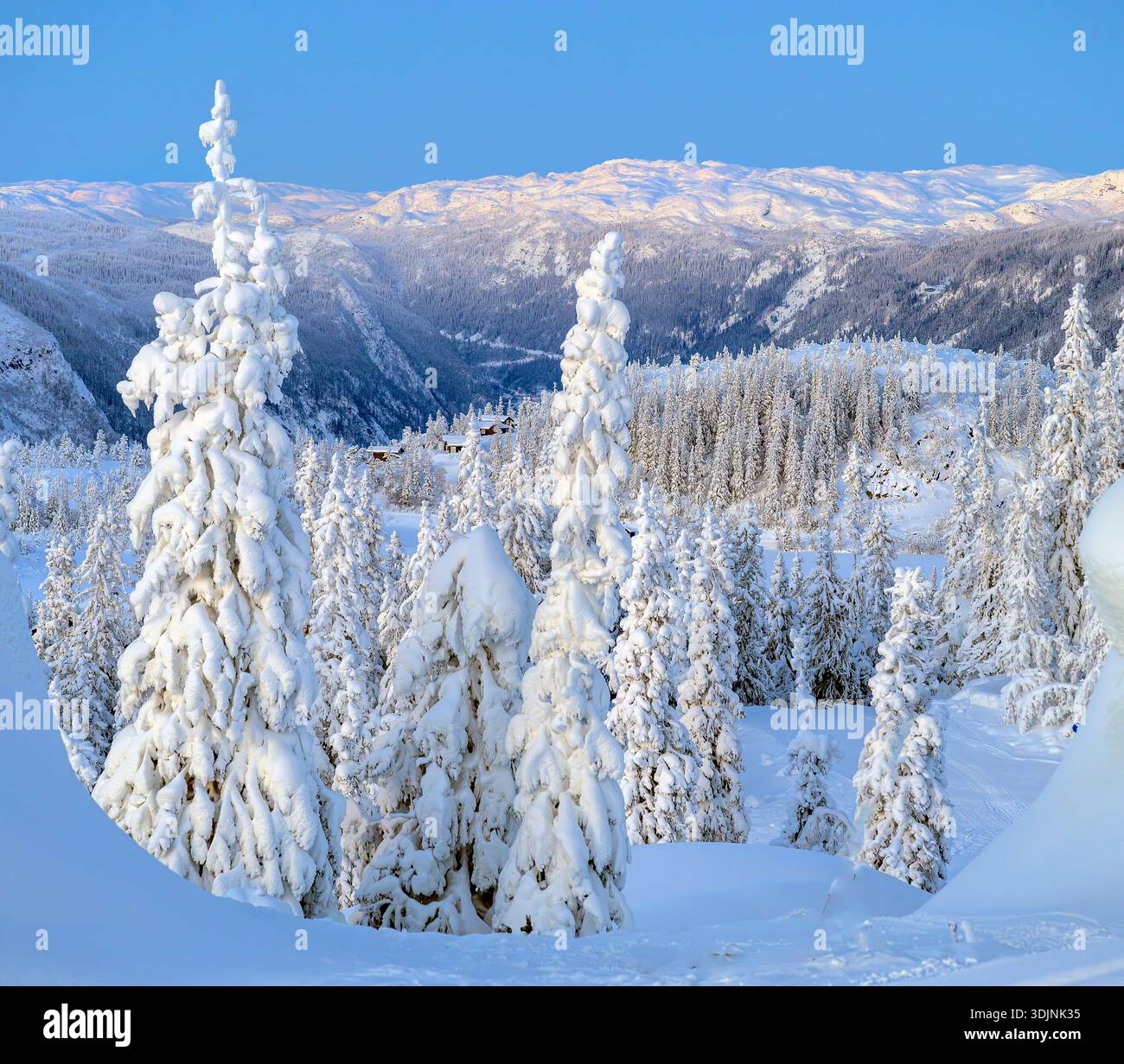 Snowy winter landscape gaustablikk hi-res stock photography and images ...
