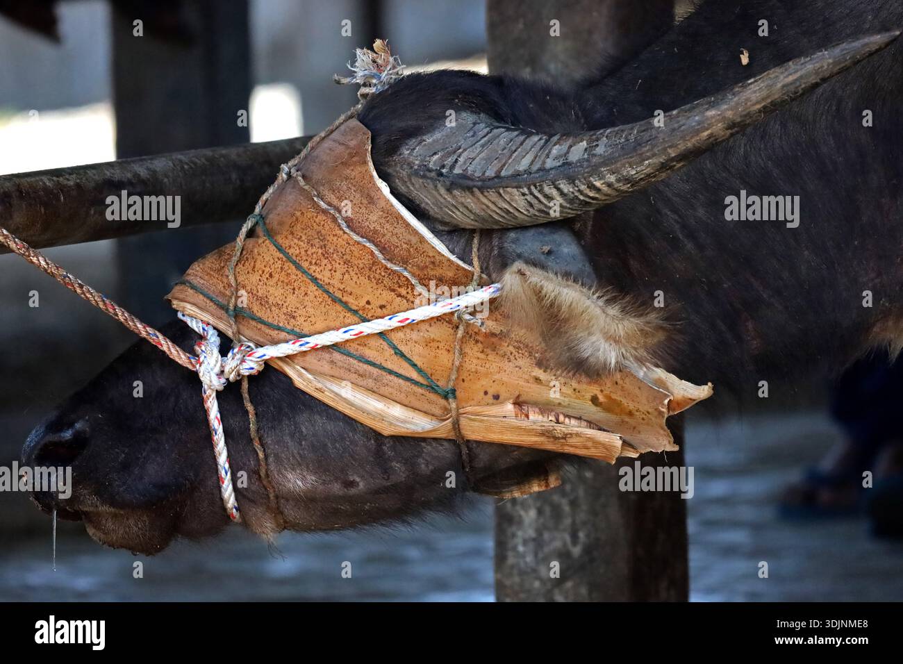 Wednesday 28 january 2026 hi-res stock photography and images - Alamy