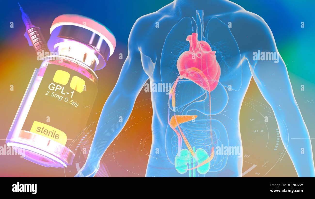 Cardiometabolic CKM Syndrome 3D Visualization: Integrated Heart, Kidney ...