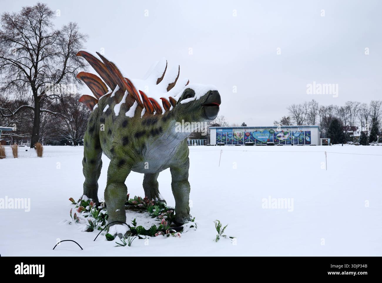 Dino Lights - egapark Erfurt 27.01.2026, Erfurt, egapark, Dino Lights ...
