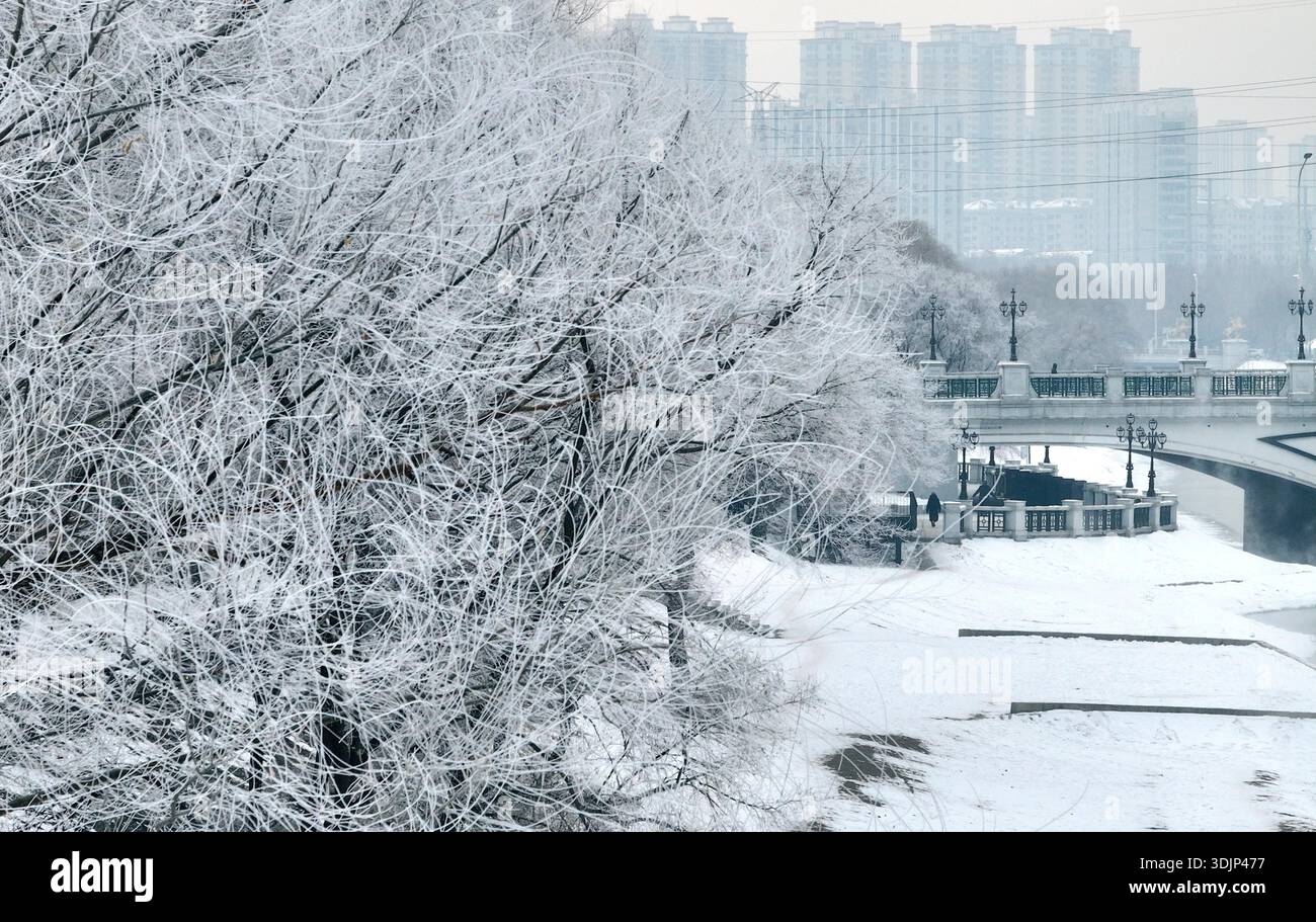 Rime scenery in Harbin City, northeast China's Heilongjiang Province ...
