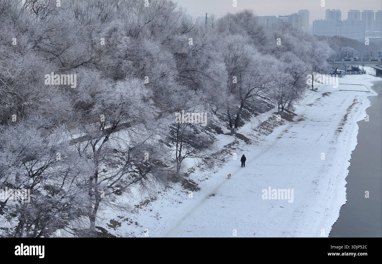 Rime scenery in Harbin City, northeast China's Heilongjiang Province ...