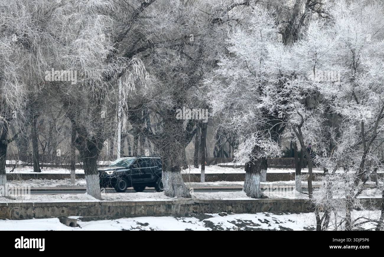 Rime scenery in Harbin City, northeast China's Heilongjiang Province ...