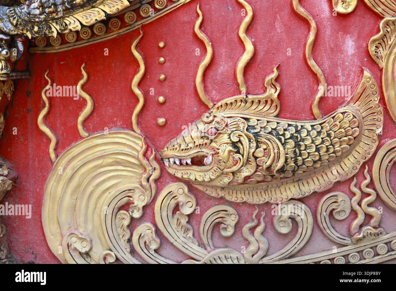 Ancient fish showcases hi-res stock photography and images - Alamy