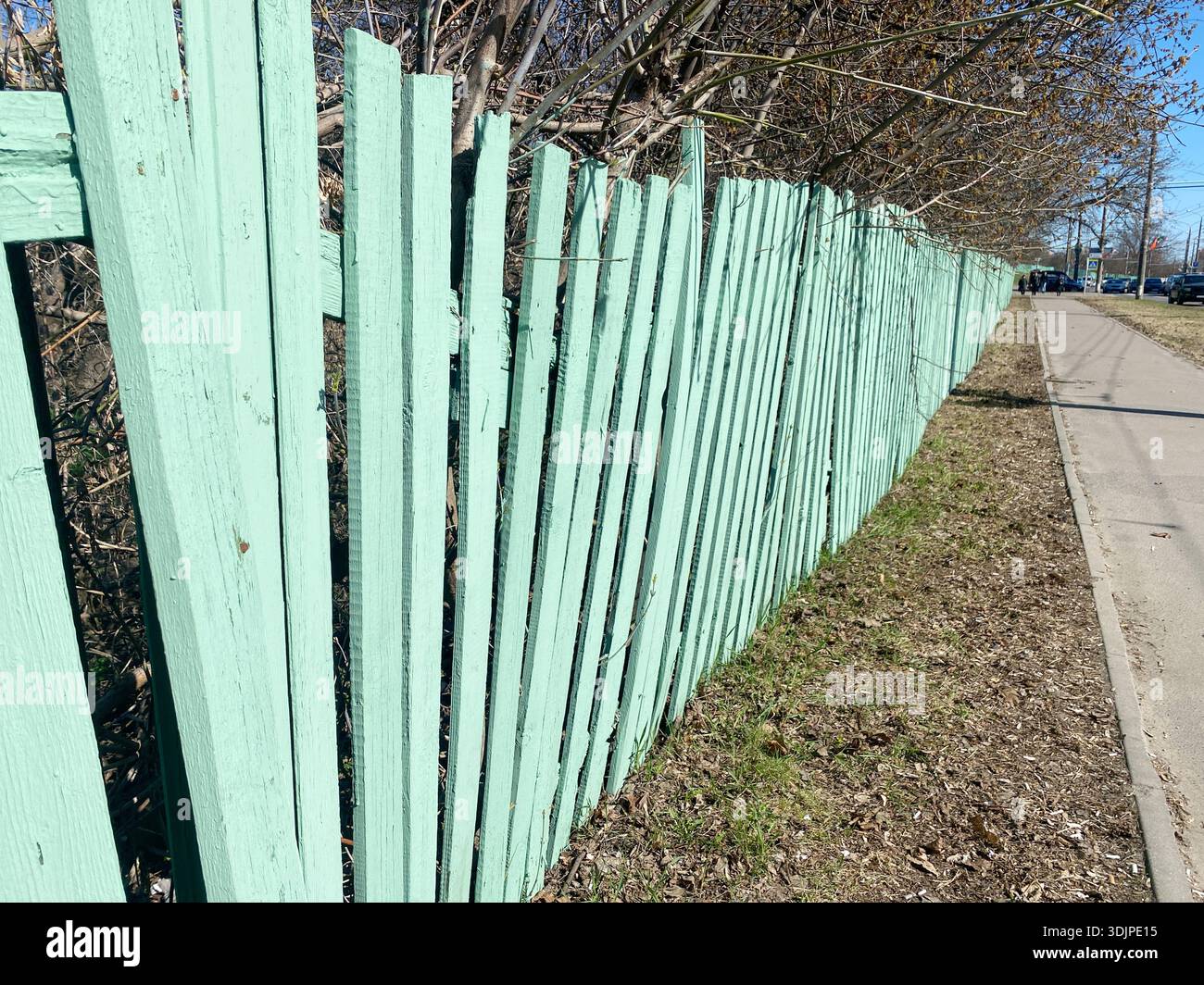 Vibrant mint green wooden fence lines a grassy path, providing a ...