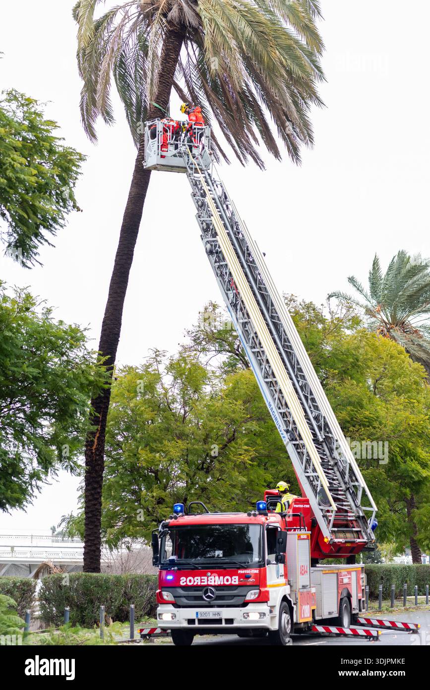 Spanish firefighters secure trees after Storm Joseph passes through the ...