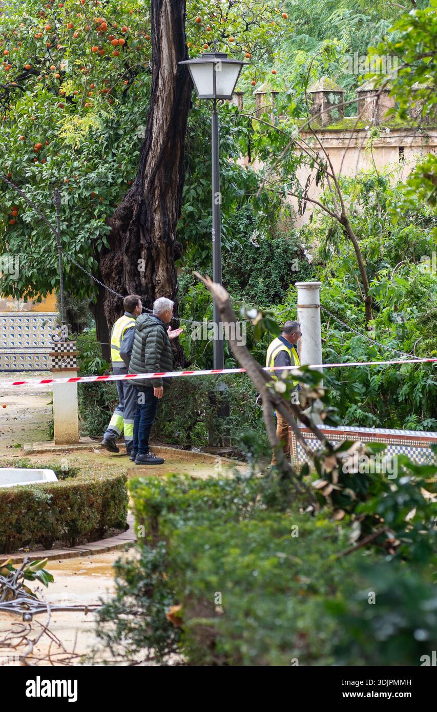 City workers inspect damage left by Storm Joseph as it passes through ...
