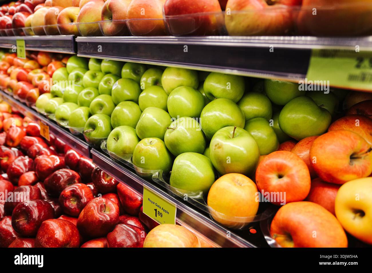 Fresh apples displayed on grocery store shelf. Red and green fruit ...
