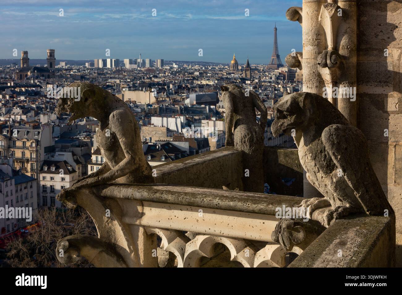 Gargoyles of a hawk headed demon and a sad bird on the south tower of ...